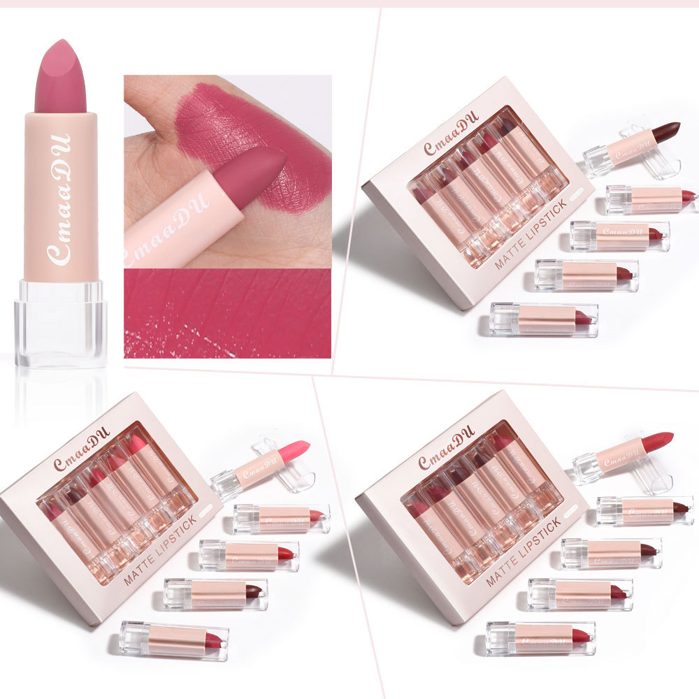 CmaaDu Lipstick Set Lipstick Lip Gloss Matte Moisturizing，Long-lasting ...