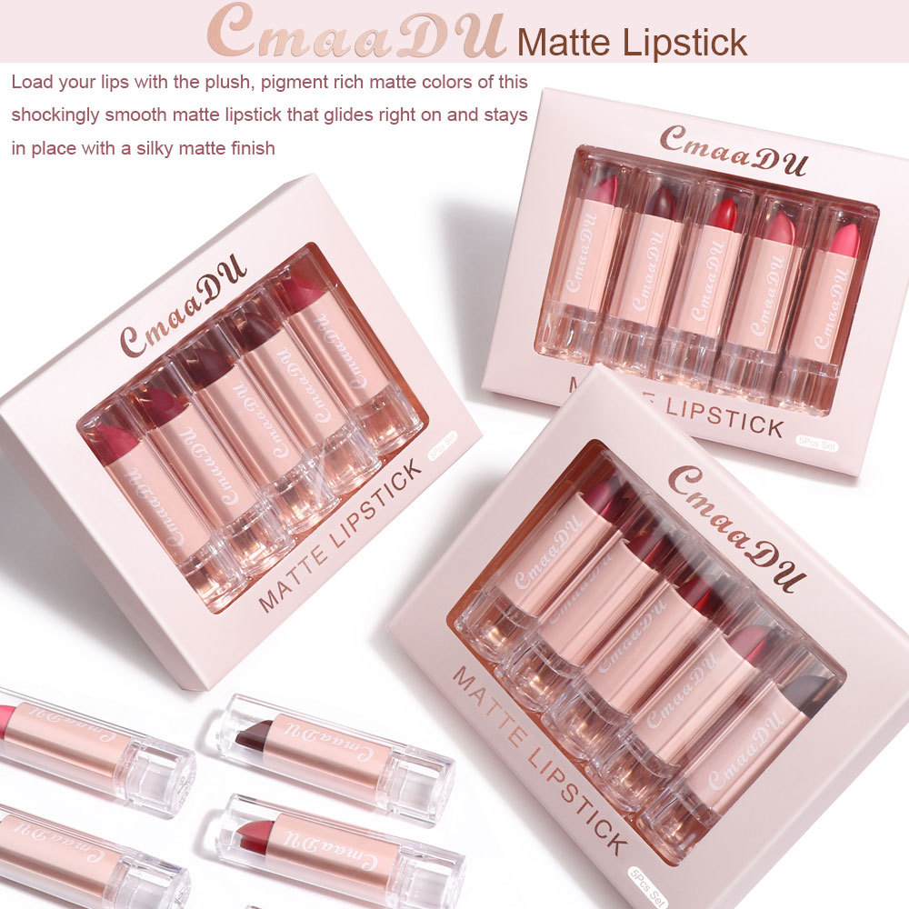 CmaaDu Lipstick Set Lipstick Lip Gloss Matte Moisturizing，Long-lasting ...