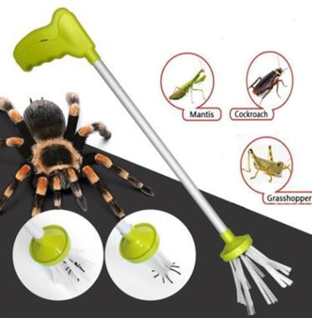 Humanistic Insect Catcher for Spiders, Grasshoppers, Mantis, Scorpions ...