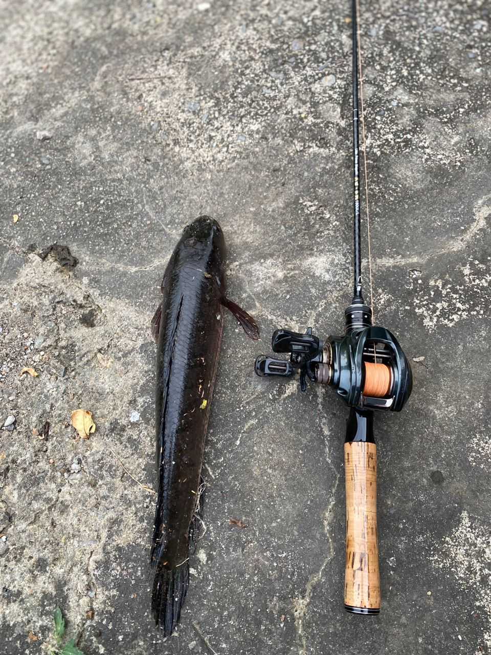 kaki ultra light rod ultra light rod set Ultralight Baitcasting Rod ...