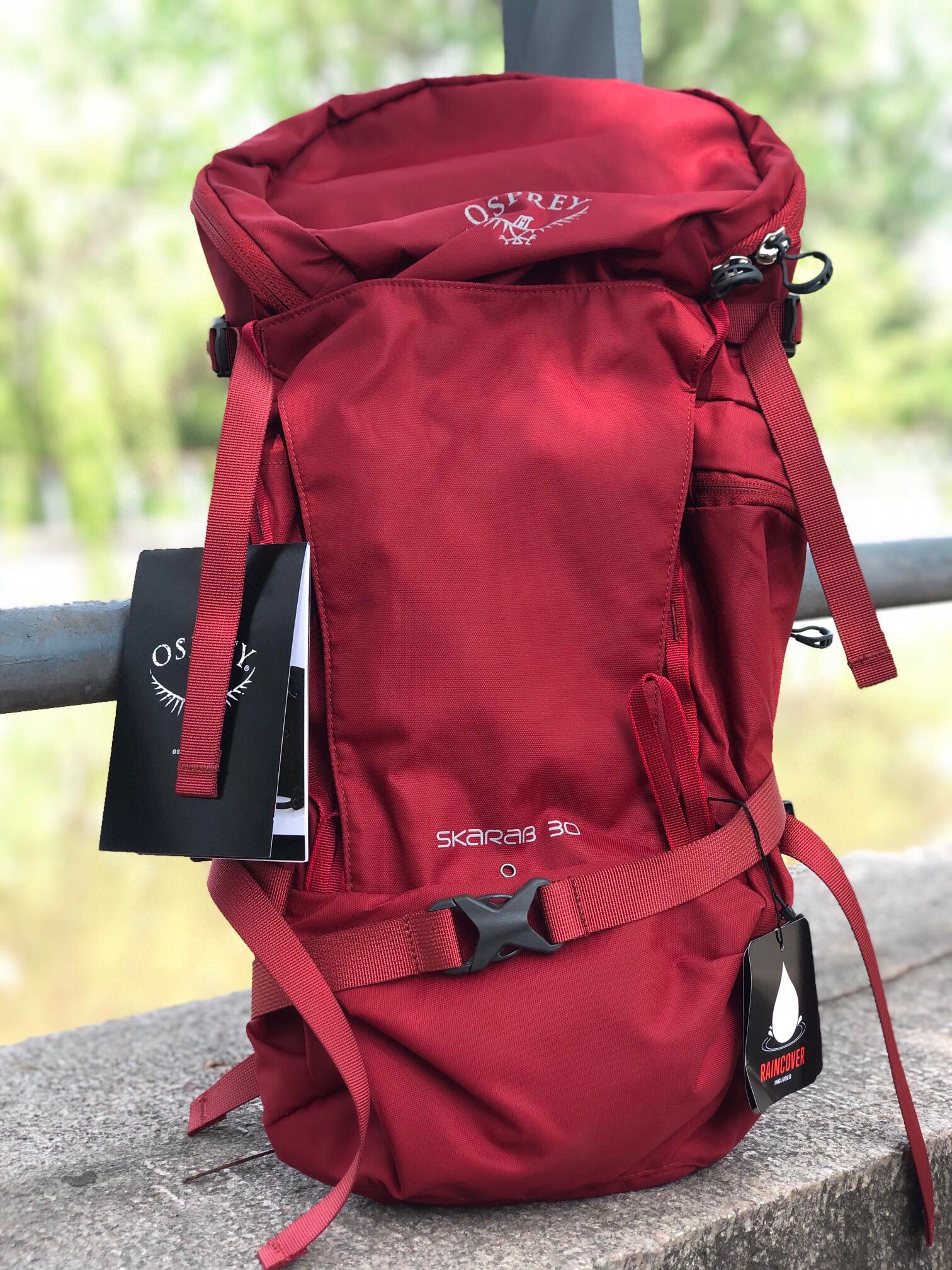 Osprey Kitty Eagle Mountaineering Bag Outdoor Backpack 22L Beetle Men's ...