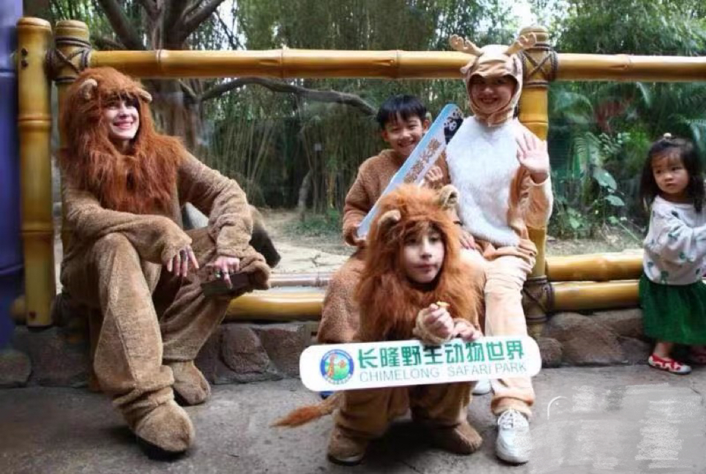 The Wizard of Oz Lion Adult Children Adult Stage Performance Costume ...