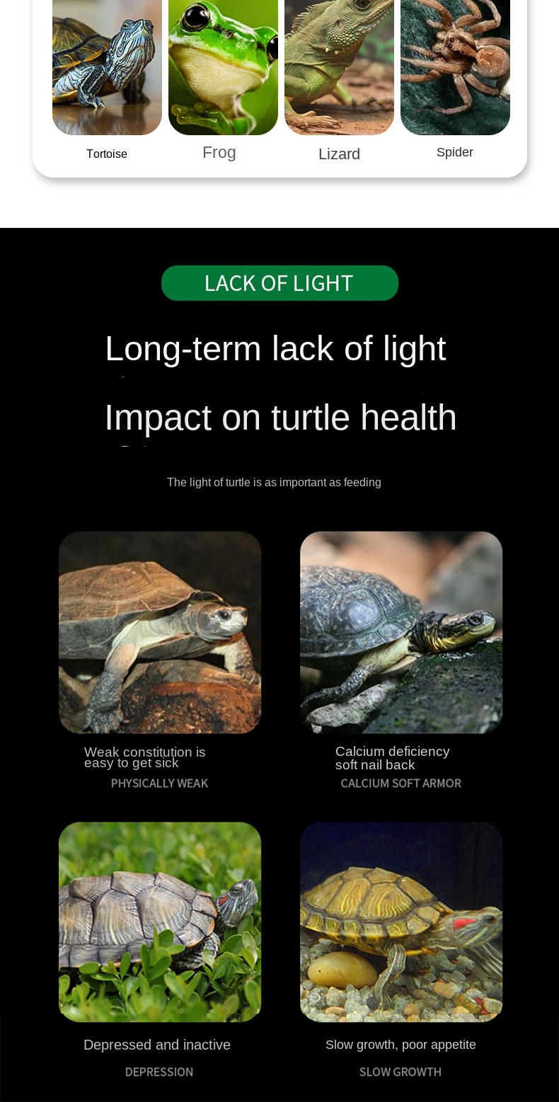 Tortoise Light Back Light Sun Light Tortoise Heating Bulb Heat ...