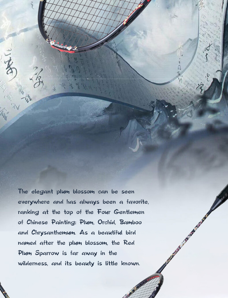 ALPSPORT HQ 6U Max 35LBS Balanced Badminton Racket Single With Bag ...