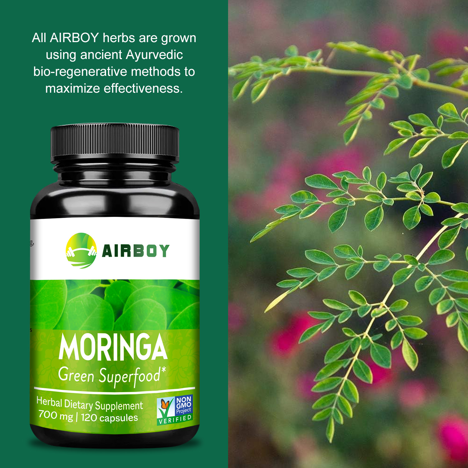 Moringa 700 mg - Workout Recovery, Energy Boost & Metabolism ...