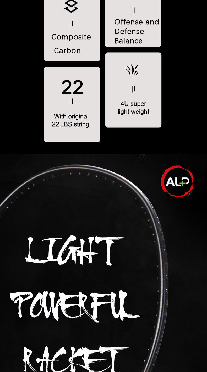 ALP RR 2pcs 4U G5 Original Design Full Carbon Fiber 20-22Lbs Strung ...