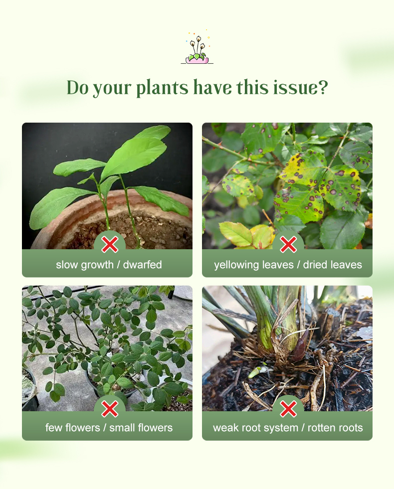 German baja buah Plants Fertilizer Stick 植物肥料棒 Potent 6 In 1 Garden Soil Fertilizers For ...