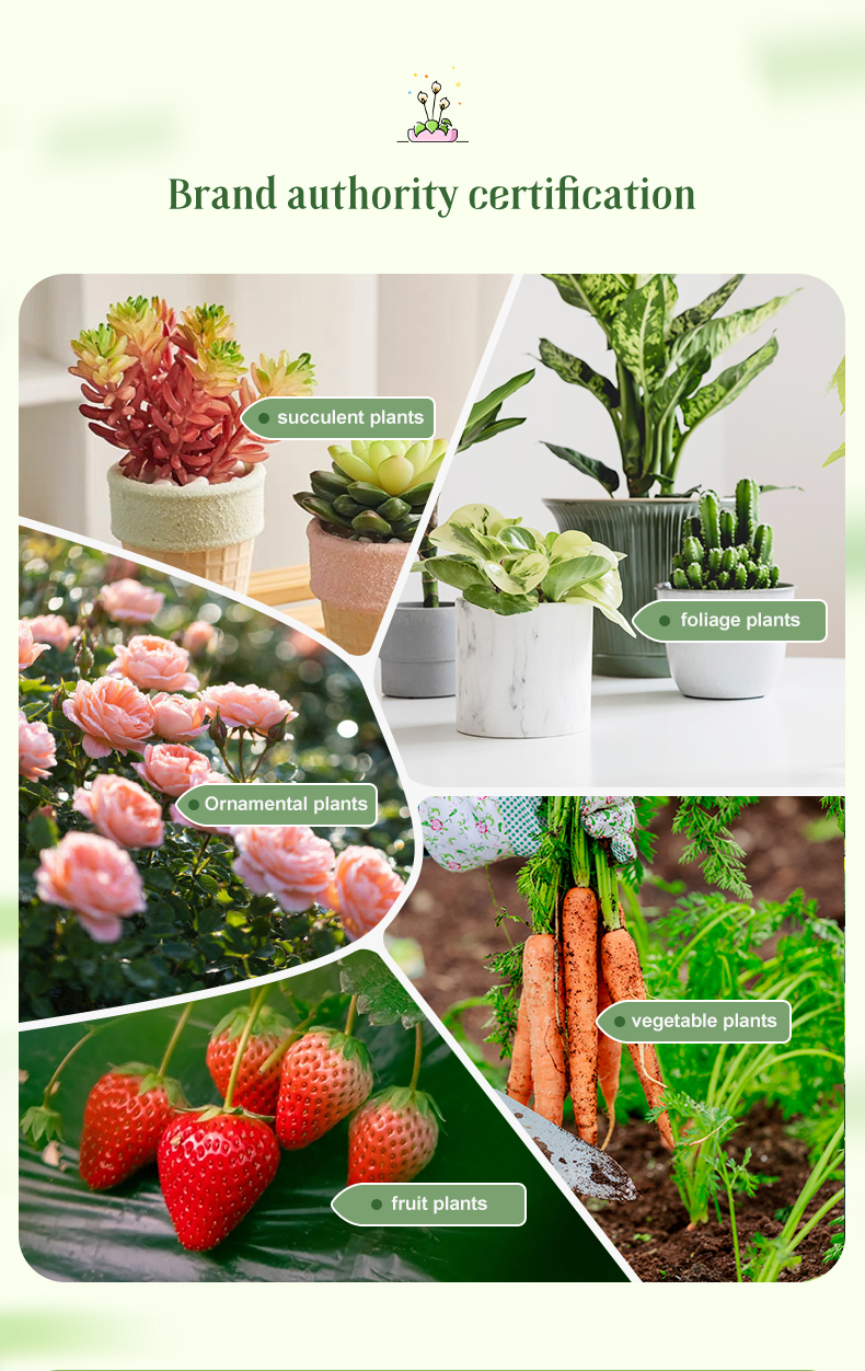 German baja buah Plants Fertilizer Stick 植物肥料棒 Potent 6 In 1 Garden ...