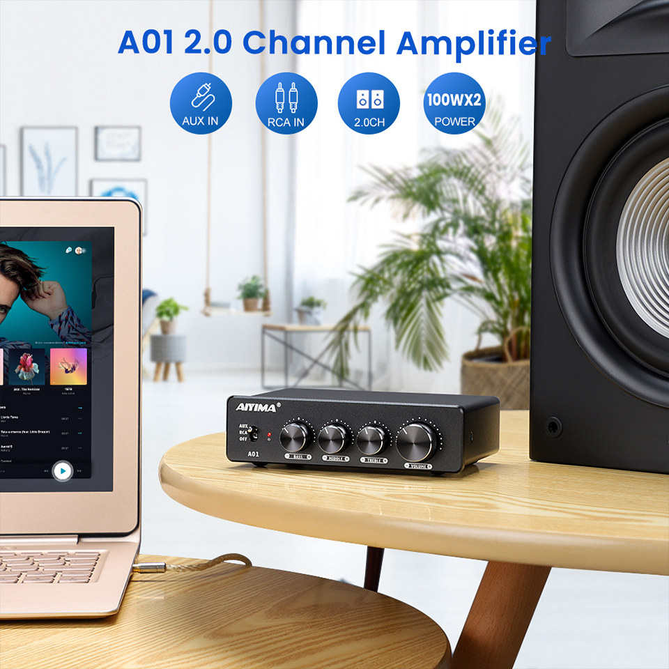 AIYIMA Audio A01 TPA3116 Power Amplifier Class D HIFI Sound Amplifier ...