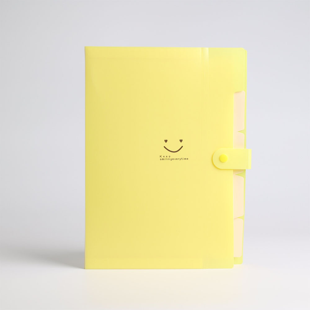 The folder is divided into 5 compartments, Korean style stationery ...