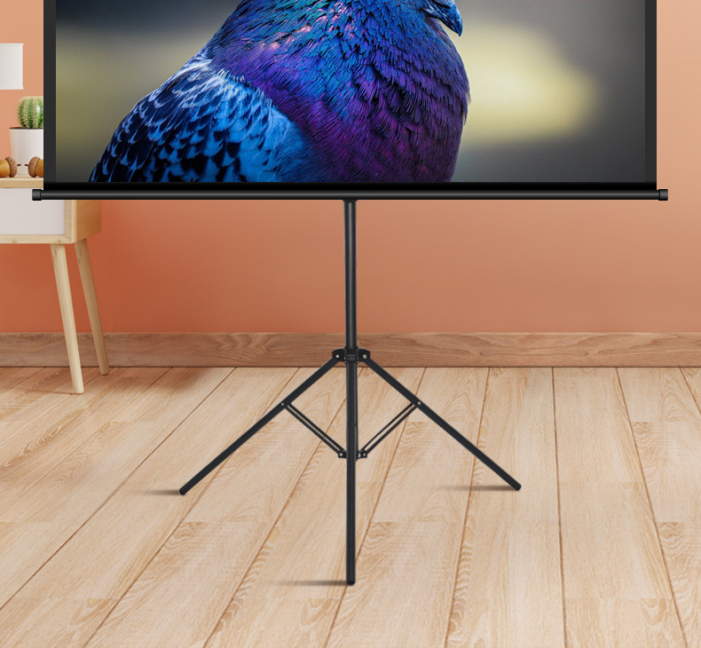 HD Mobile Portable Stand Projection Screen Bedroom Outdoor Office ...
