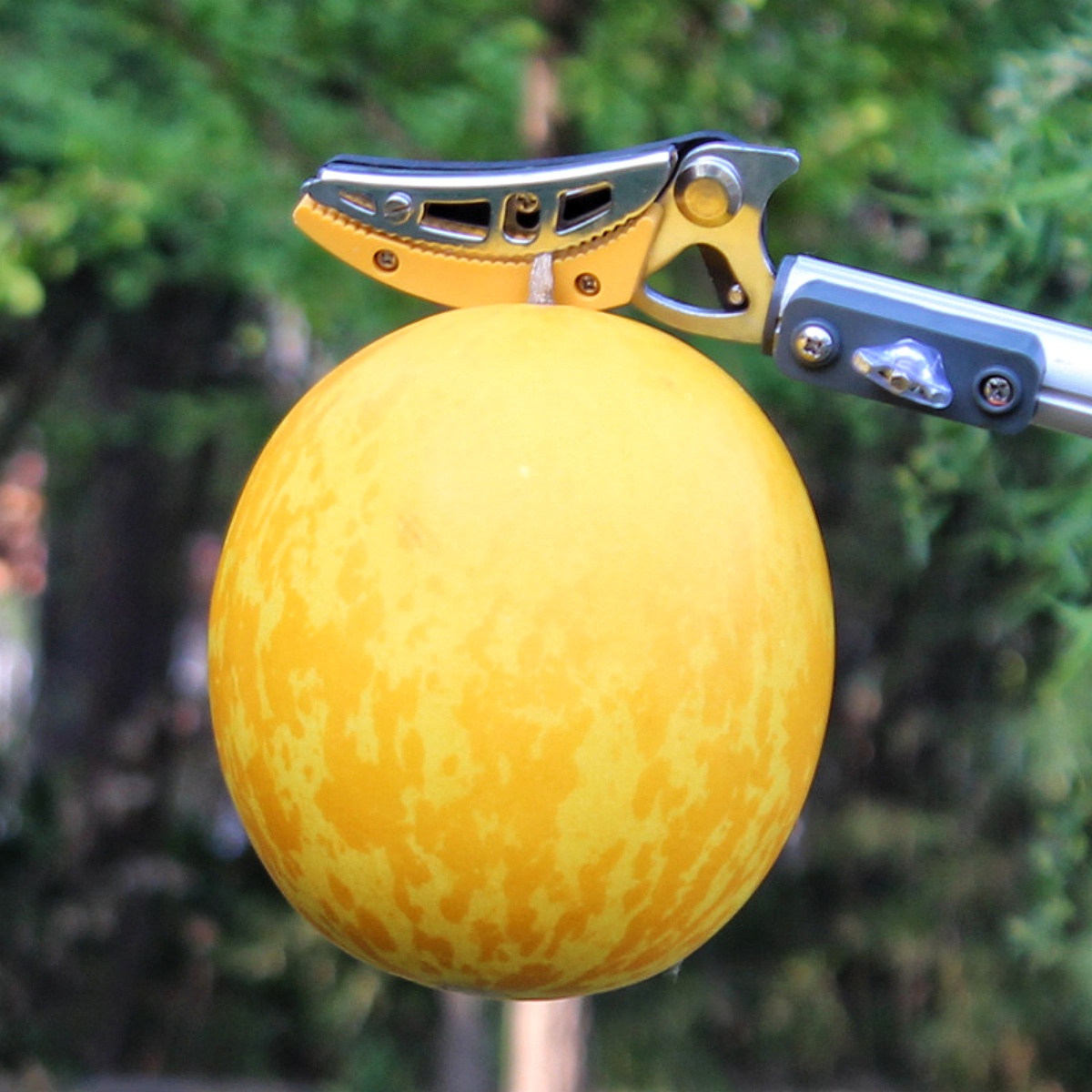 1.8-4M Fruit Picker Telescopic Scissors Extendable High-altitude Fruit ...