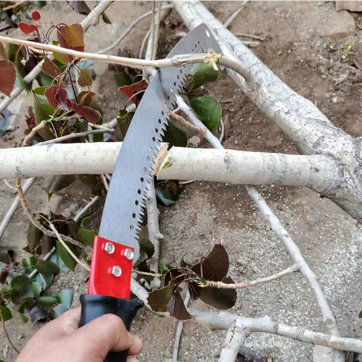 3M/5M/6M Meter Telescopic Fruit Picker High Pruning Branch Shear Saw ...
