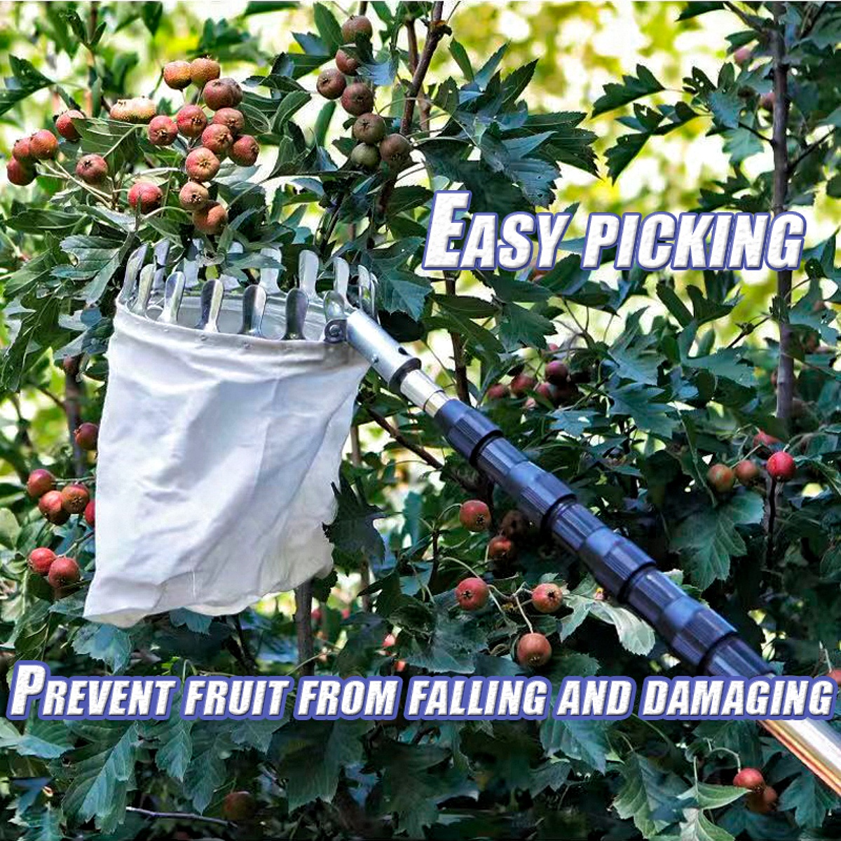 3M/5M/6M Meter Telescopic Fruit Picker High Pruning Branch Shear Saw ...