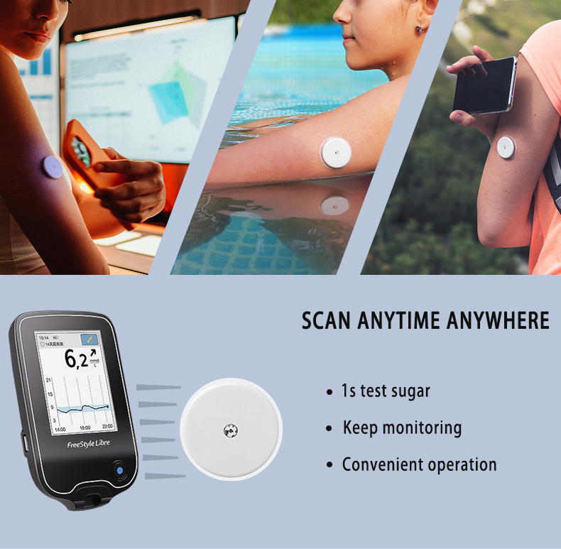 （Exp:2026-1）Freestyle Libre 24-hour real-time monitoring blood glucose ...