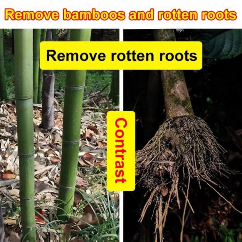 No matter how big the tree is 1000% rotten roots】tree killer racun ...