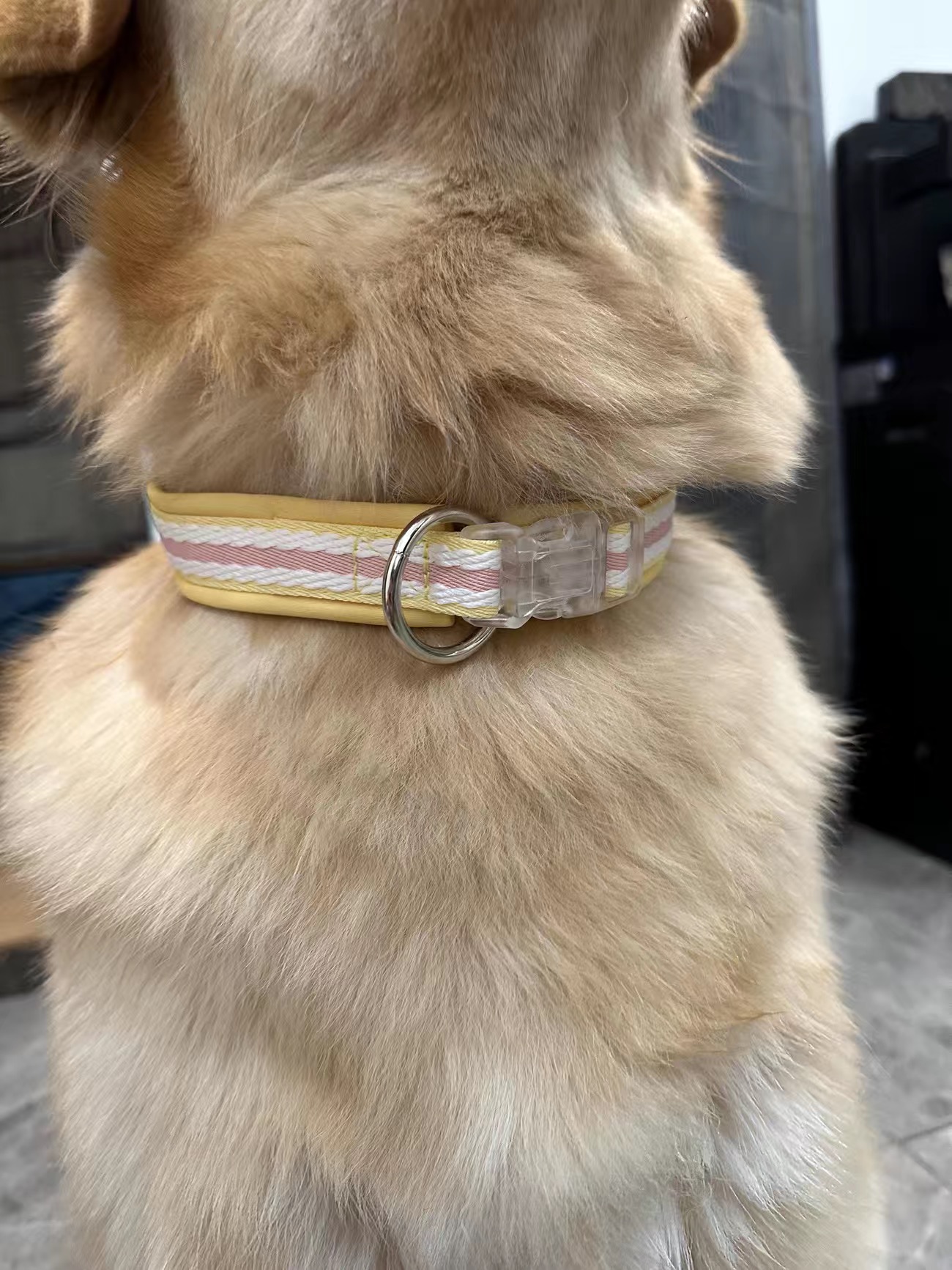 Adjustable pet dog collar universal soft collar for large medium and ...