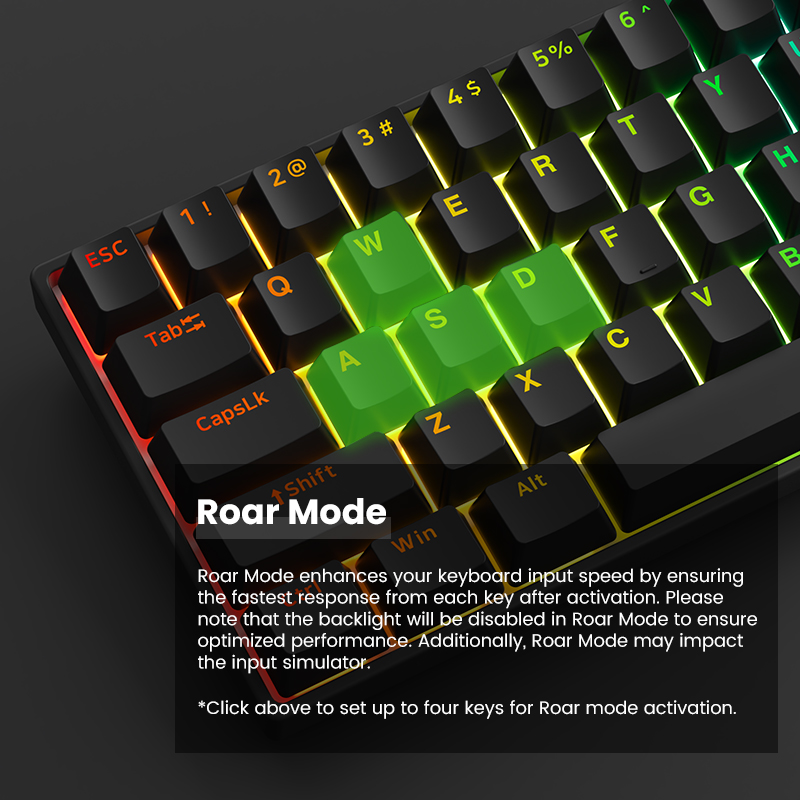 Akko 3061S HE Shine-Through,8K Hz Polling Rate Wired USB-C Solution ...