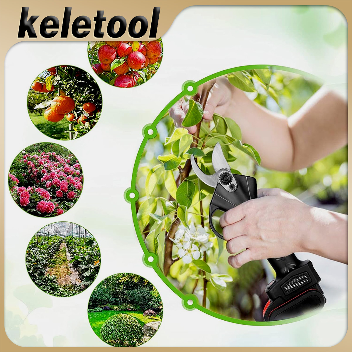 Cordless Pruning Shears gunting pokok with Extension Rod Efficient ...