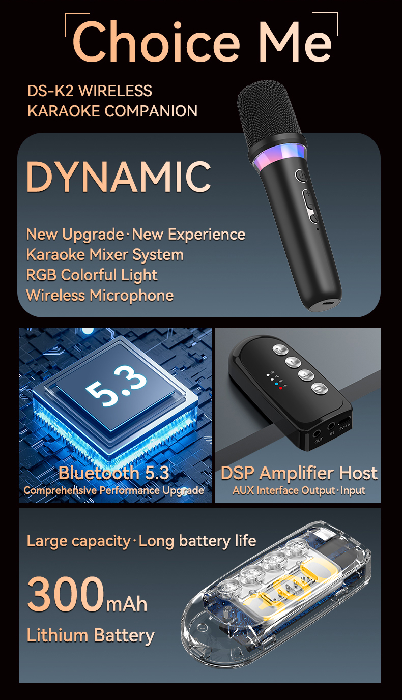 DS-K2 Karaoke Companion Bluetooth 5.3 Wireless Dynamic Microphone RGB Light KTV DSP Mixer System ...