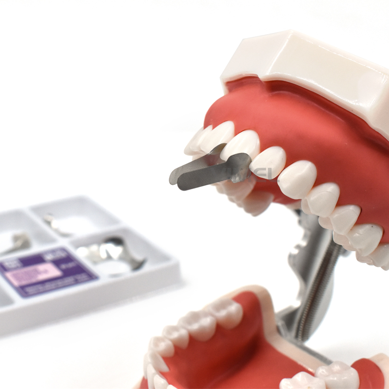 Dental Proximal Anterior Strips Twin Anterior Matrices Tooth Adjacent ...