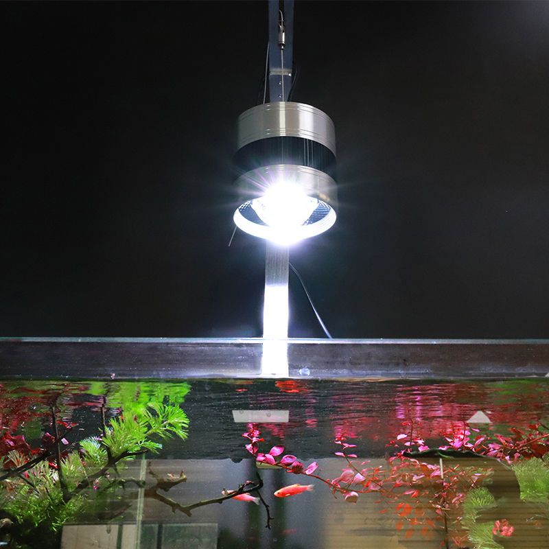 【Free Shipping】Aquatic Lamp Aquarium Light Fish Tank Light Aquatic ...