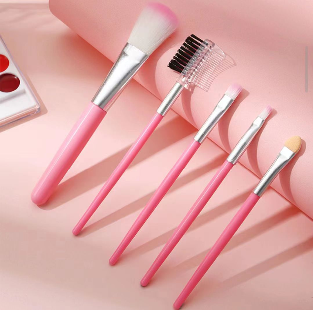 Hot selling beauty tool set, five sets of brush, Makeup brush, beginner ...