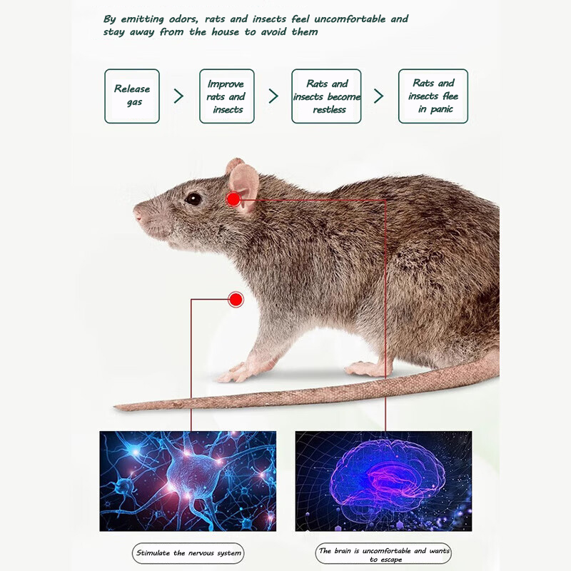 *READY STOCK AT MALAYSIA*Outdoor And Indoor Rat Repellent Pills Insect ...