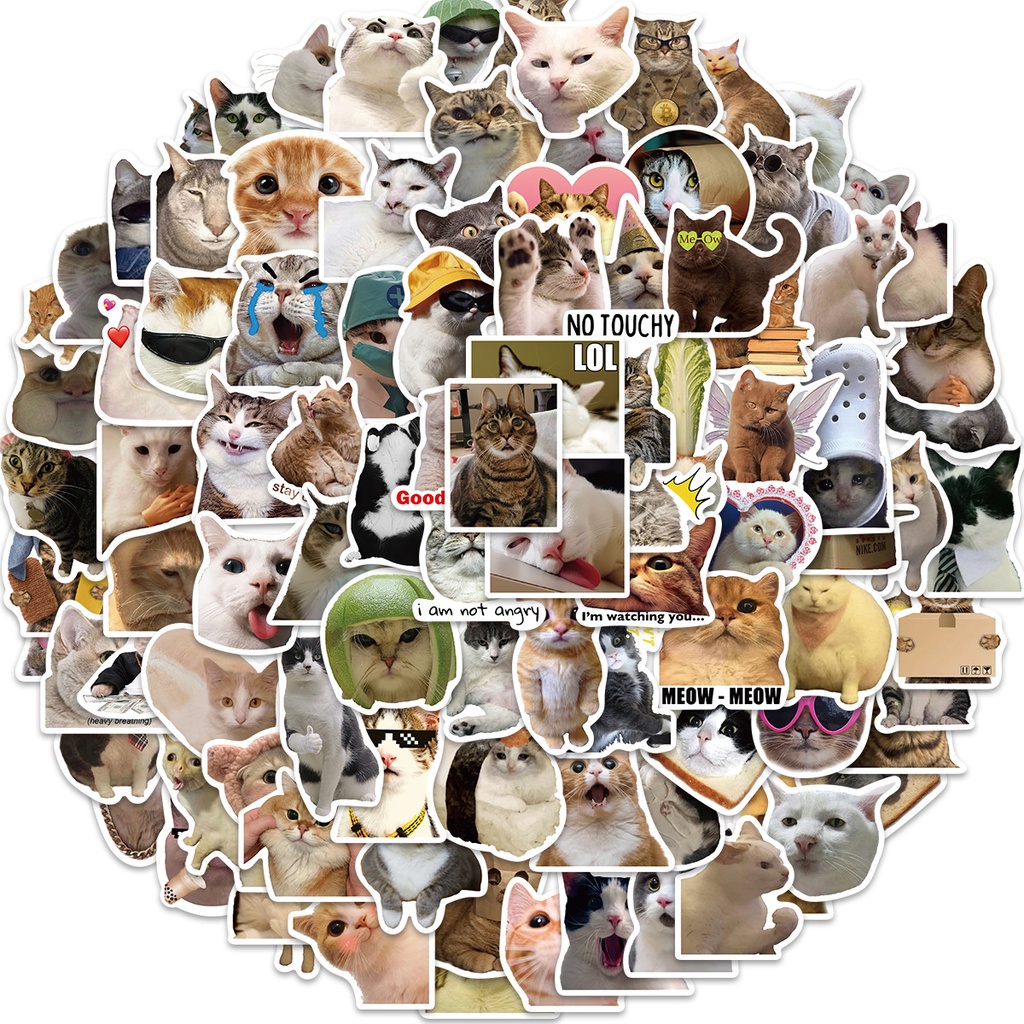100/50PCS Funny Cat Meme Waterproof Stickers for Laptop, Helmet ...