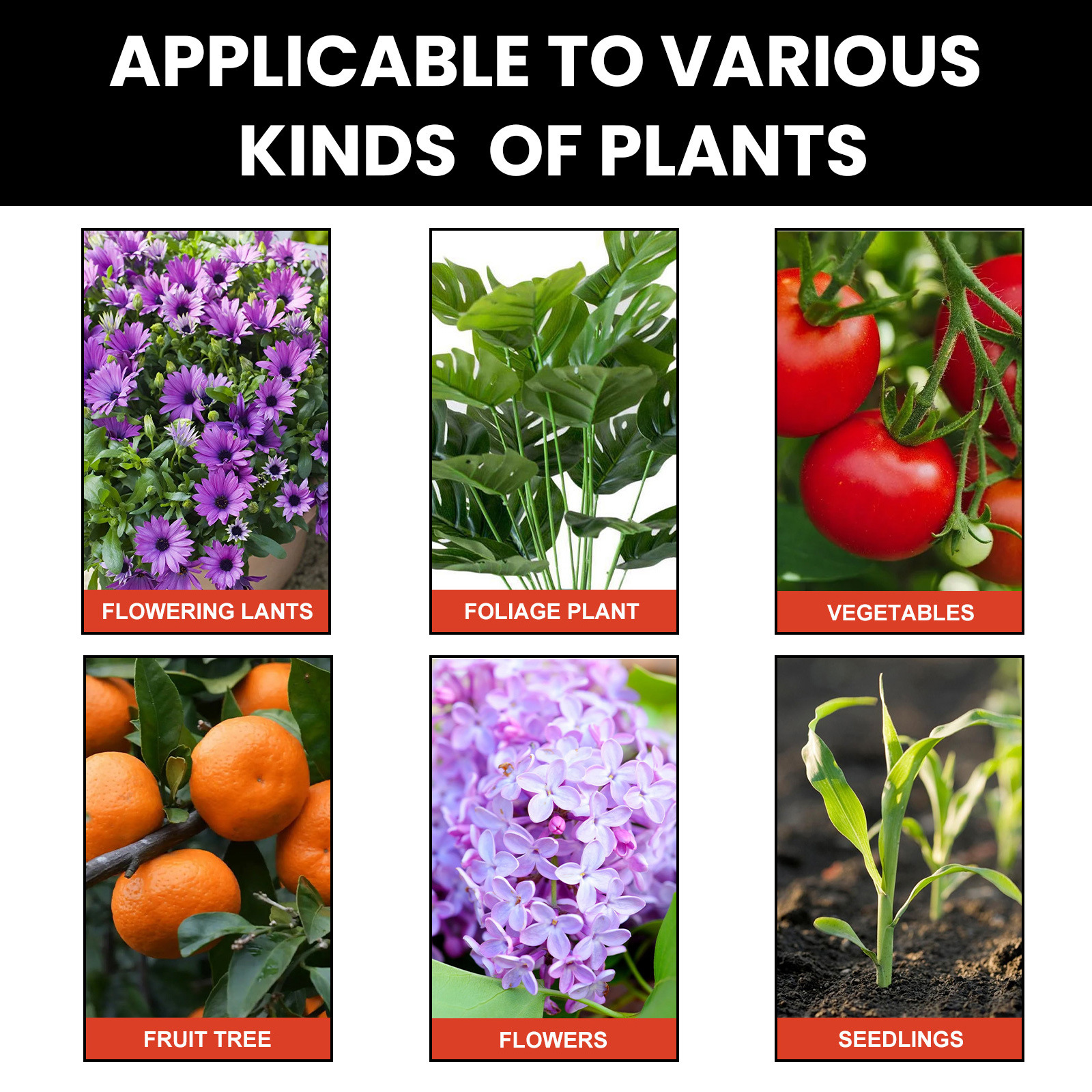 [Off-The-Shelf Supply] Moonspry Plants Growing Nutrients Green Leaf ...