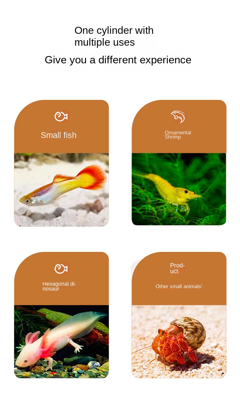 Negative Pressure Fish Tank Vacuum Suspension Small Creative Fish Tank ...