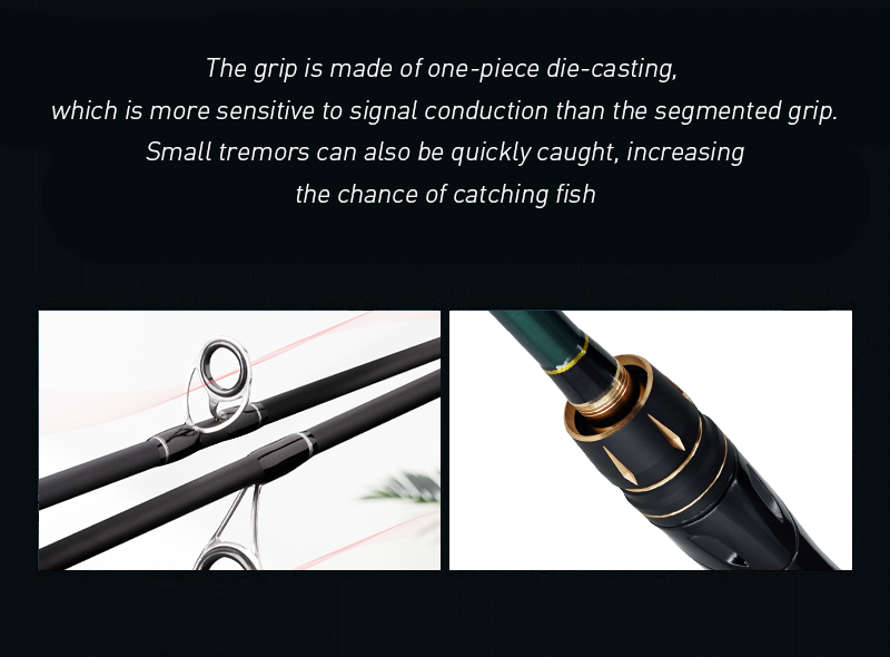 SEASIR Dark Dragon M/ML Two Rod Tips Spinning Baitcasting Fishing Rod ...