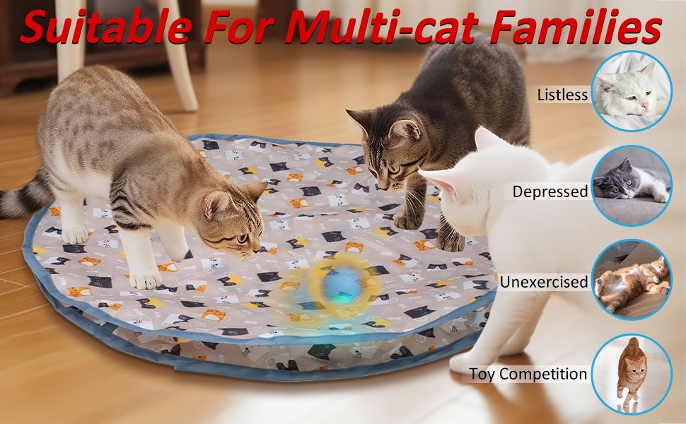 Electric Cat Toys, Hide and Seek Kitten Toy, Chirping&Motion Activated ...
