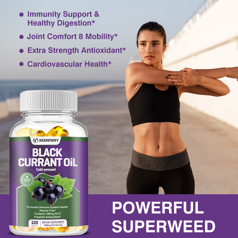 Black Currant Oil, 1000 mg, Pure Cold Pressed Black Currant Seed Oil ...