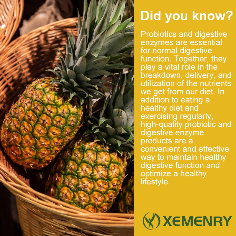 Bromelain, Pure Bromelain Extract, Supports Digestion and Nutrient ...