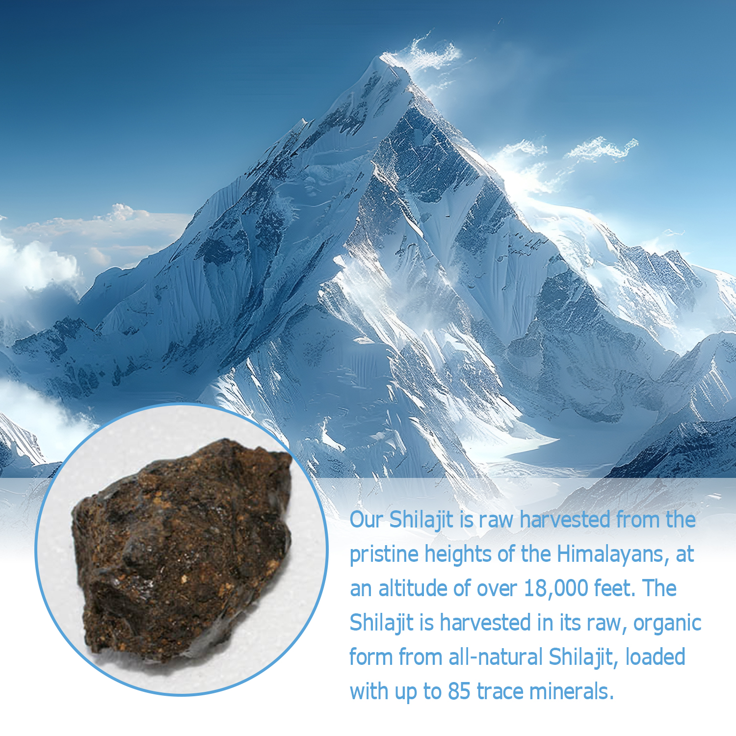 SHILAJIT Capsules - 7000 mg per serving - Highly bioavailable - Mindset ...