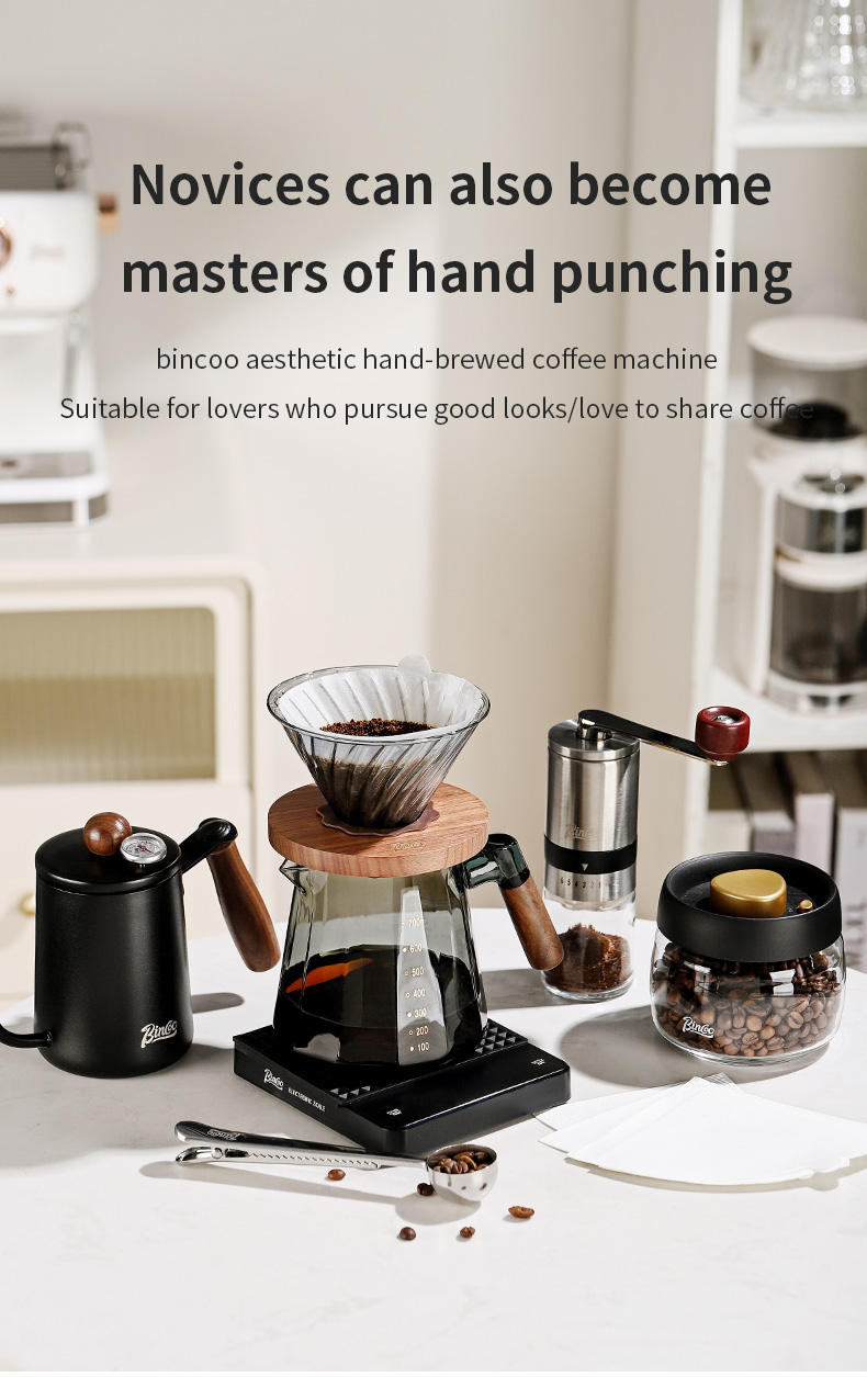 BINCOO Hand Brew Coffee Pot Set Professional Coffee Utensils Set For ...