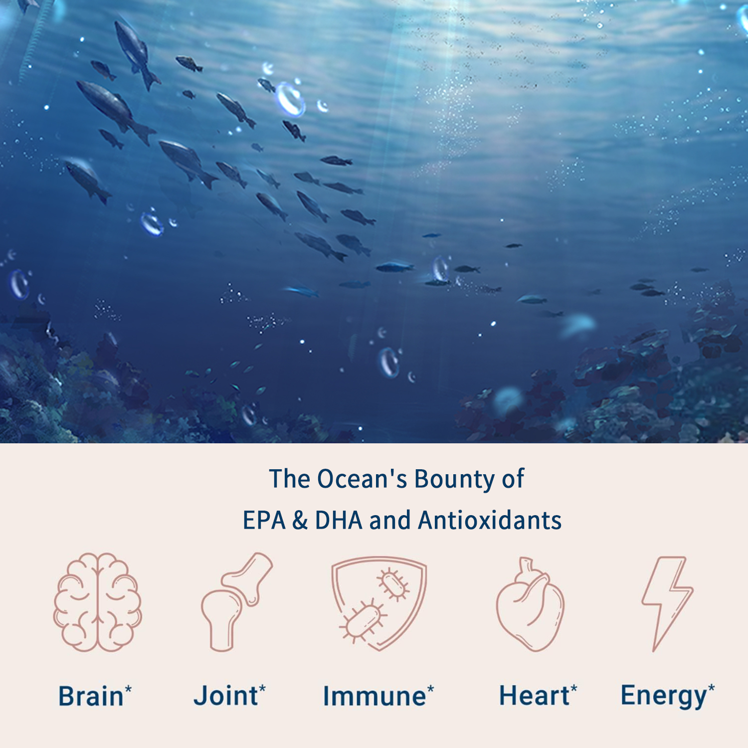 COD LIVER OIL - 1245mg per serving - Highly absorbable - Cognitive ...