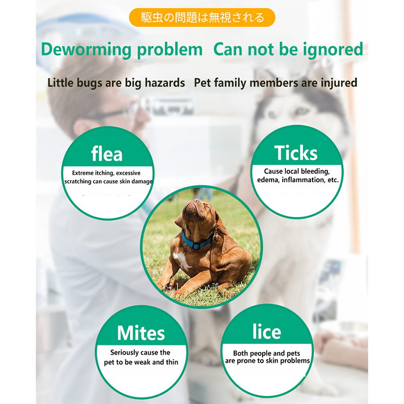 Ticks die in three seconds HB dog tick medicine flea and tick spray ...