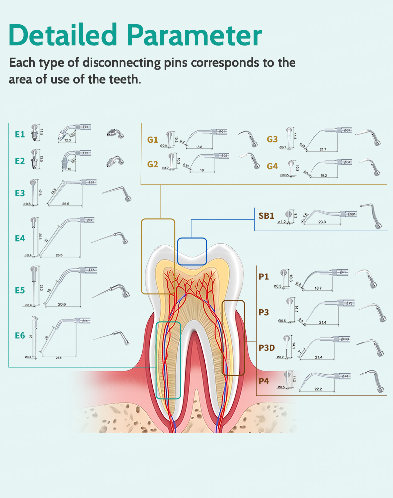 Dental Endo Perio Scaling Tips G P E fit for SATELEC DTE NSK Ultrasonic ...