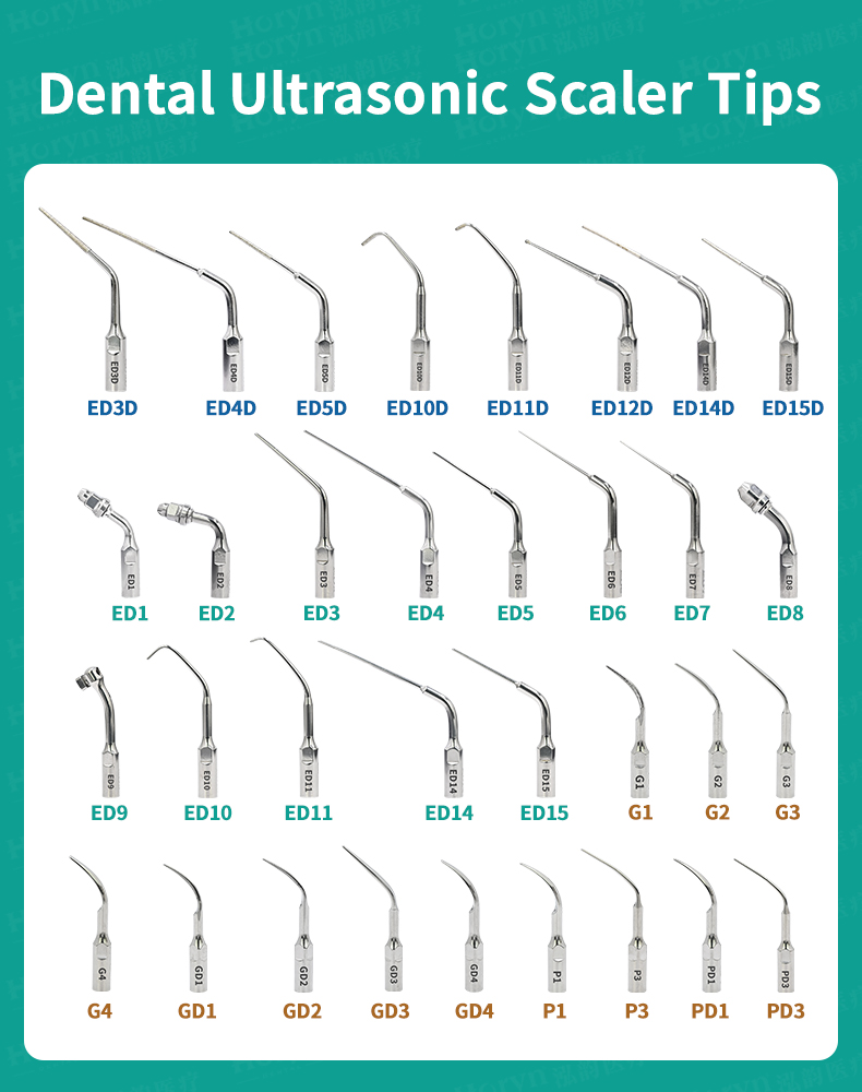 Dental Endo Perio Scaling Tips G P E fit for SATELEC DTE NSK Ultrasonic ...