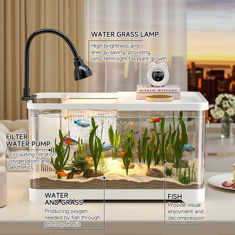 360° Aquarium with LED Lighting and Power Filter,Desk Aquarium Set ...