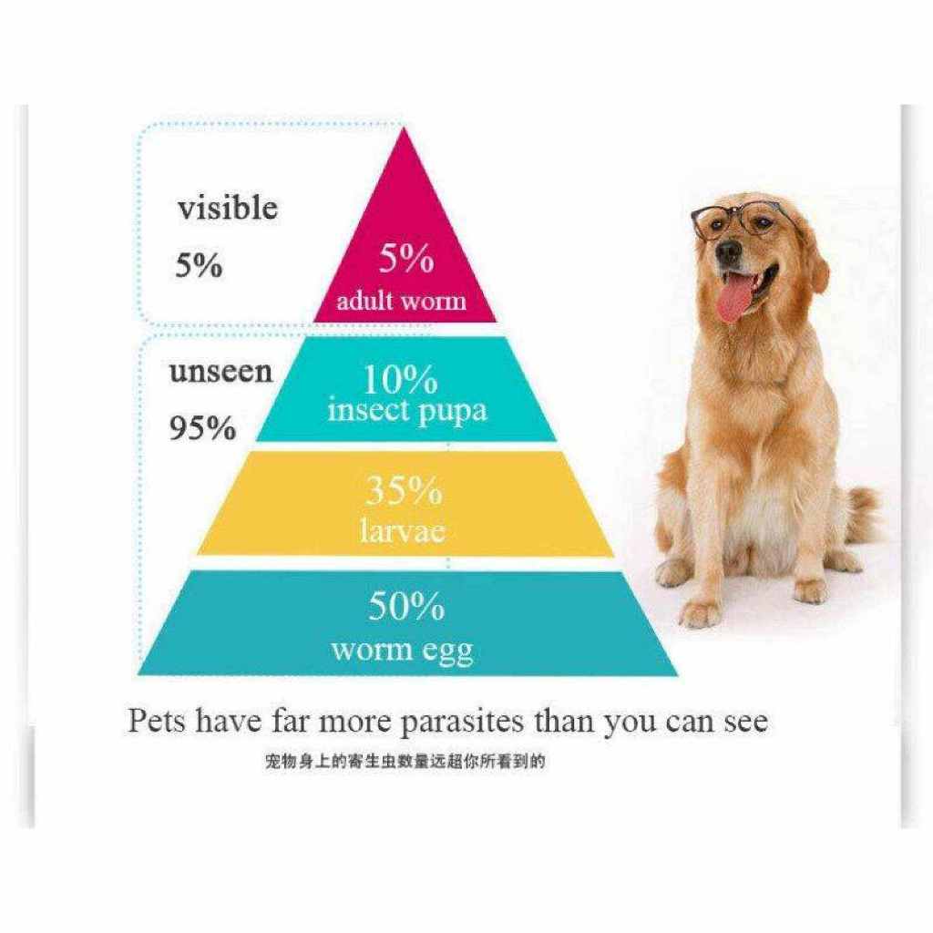 500Ml Ubat Kutu Kucing Pet Flea Spray Tick And Flea Killer Universal ...