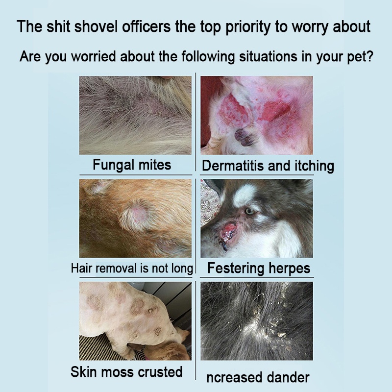 Pet skin disease dog itchy skin medicine dog skin disease medicine dog ...