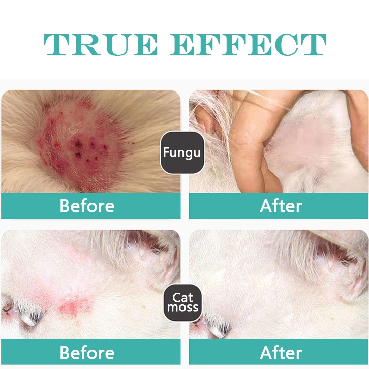 Pet skin disease dog itchy skin medicine dog skin disease medicine dog ...