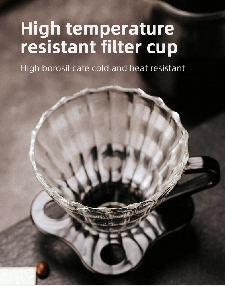 BINCOO Drip Coffee Filter Glass Coffee Filter Set Stainless Steel ...