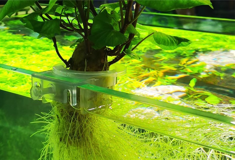 1pc Planting cup, water grass cup, water grass cup, hydroponic ...