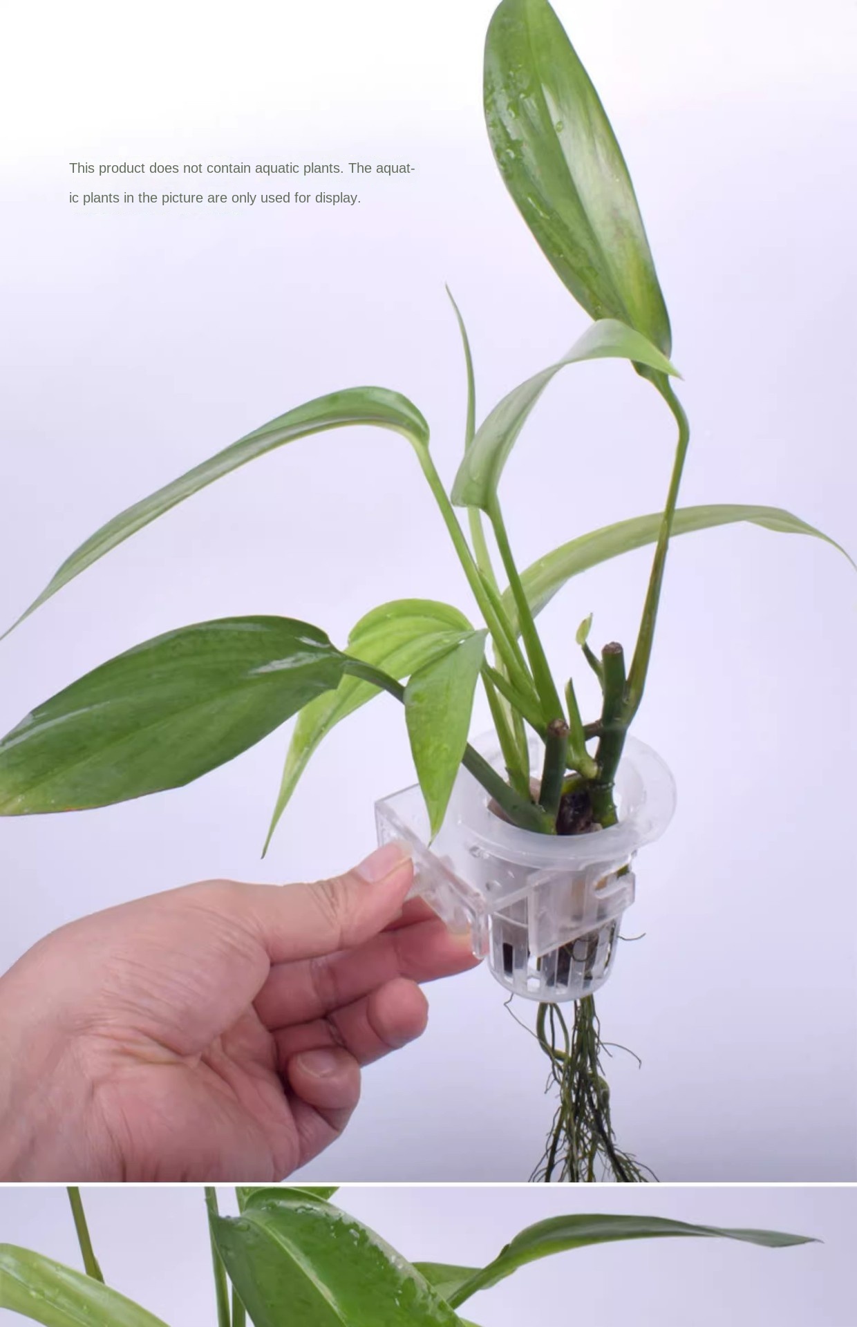 1pc Planting cup, water grass cup, water grass cup, hydroponic ...