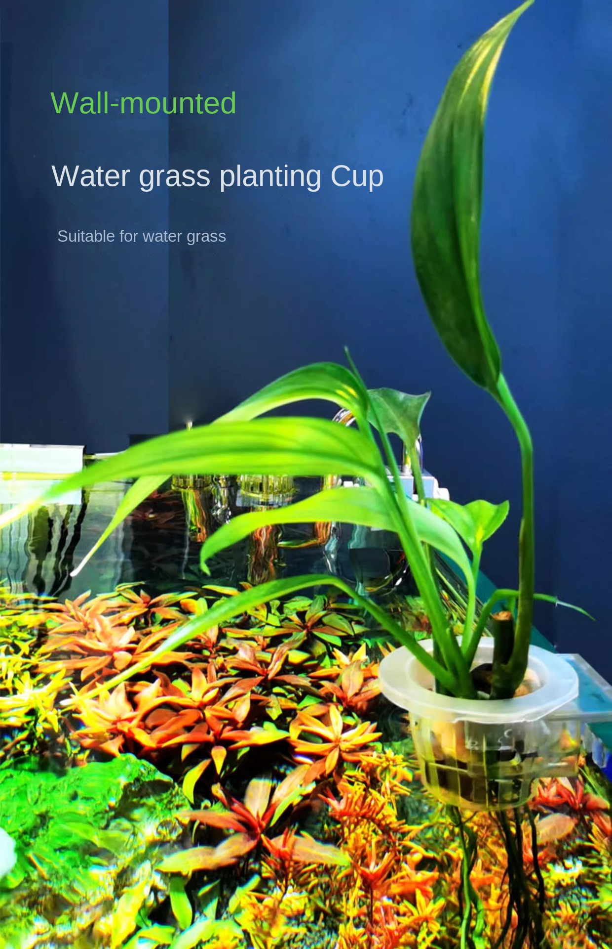 1pc Planting cup, water grass cup, water grass cup, hydroponic ...