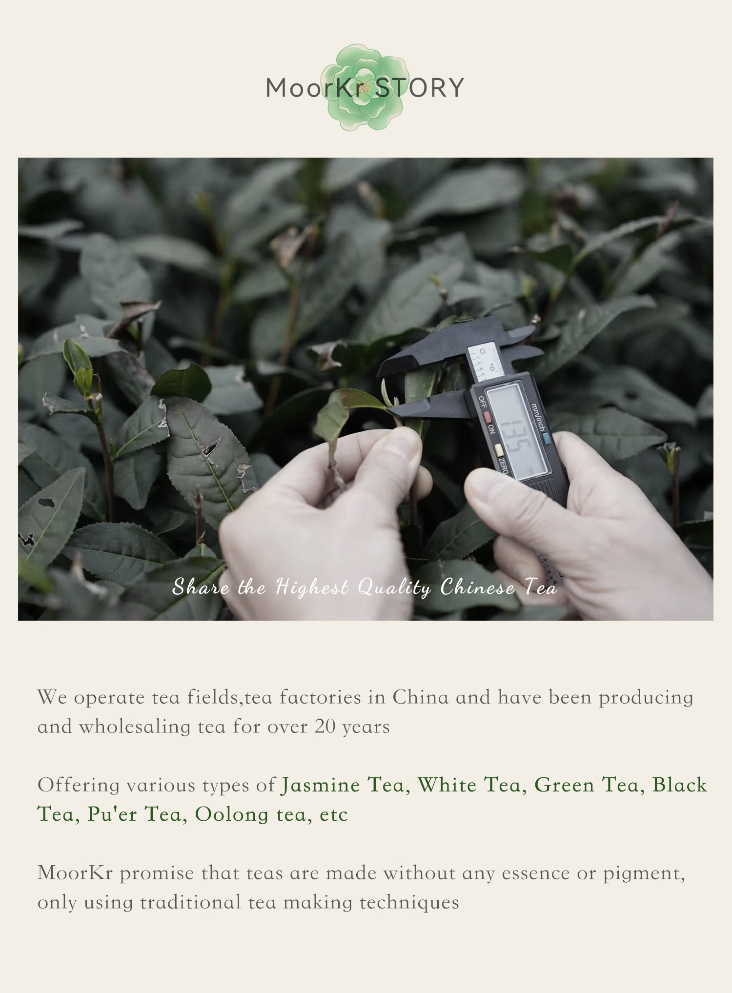 White Tea | No 708 Fragrance Plum Shoumei ★ Old White Tea Good White ...